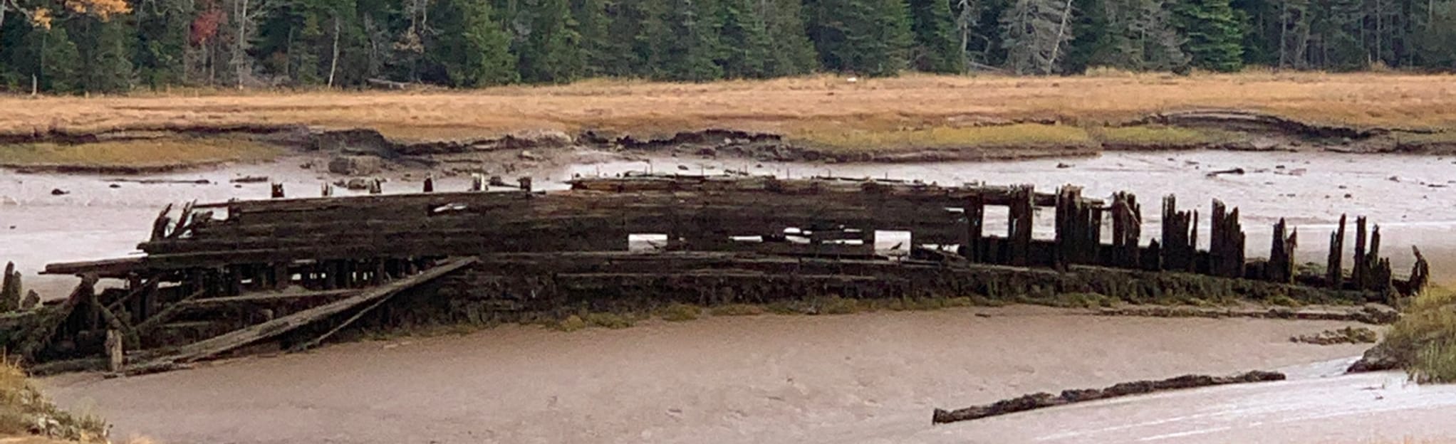 Musquash Landing Craft Trail: 11 foto's - New Brunswick, Canada ...