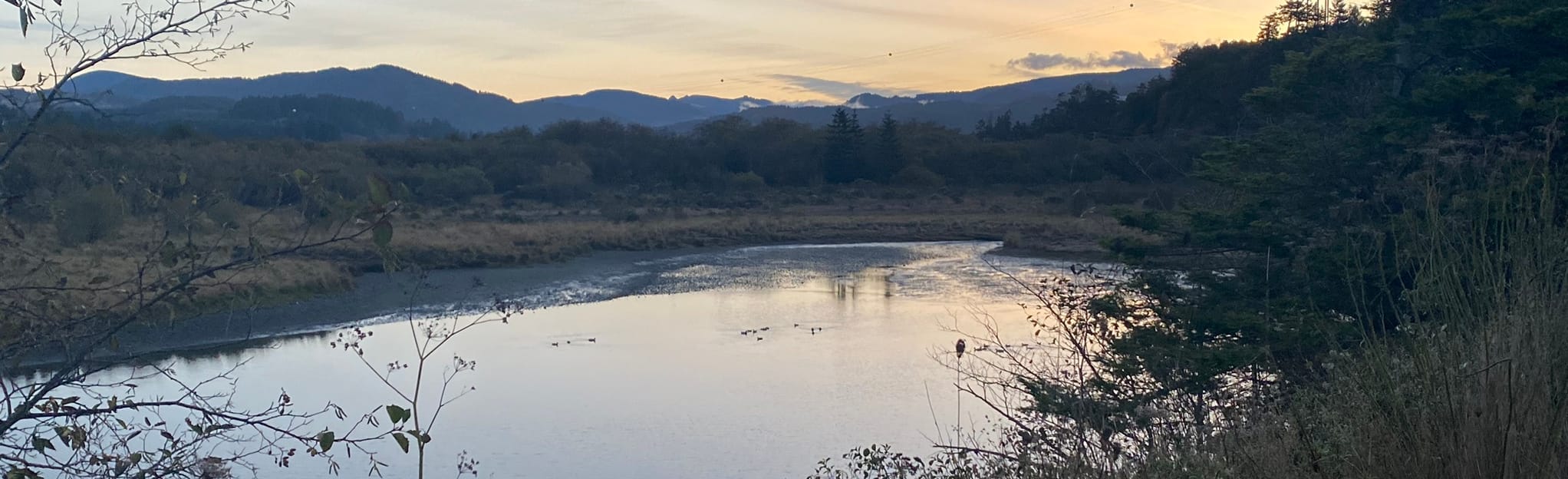 Rogue Center Jetty, Oregon - 25 Reviews, Map | AllTrails