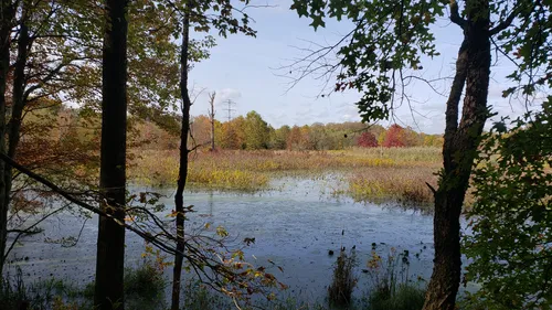 Best Hikes and Trails in Scotts Corner Conservation Area | AllTrails