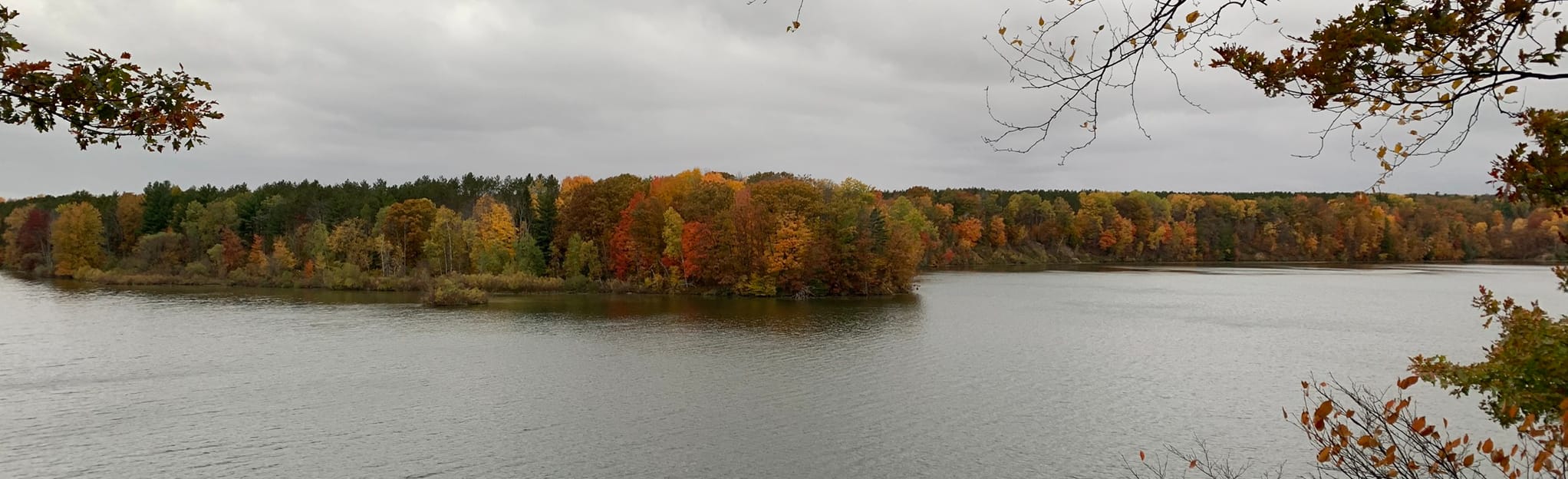 Brower Park Loop, Michigan - 135 Reviews, Map | AllTrails