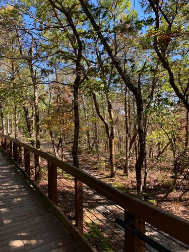 10 Best Hikes and Trails in Cheaha State Park | AllTrails