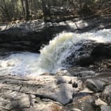 Franconia Brook Trail, New Hampshire - 249 Reviews, Map | AllTrails