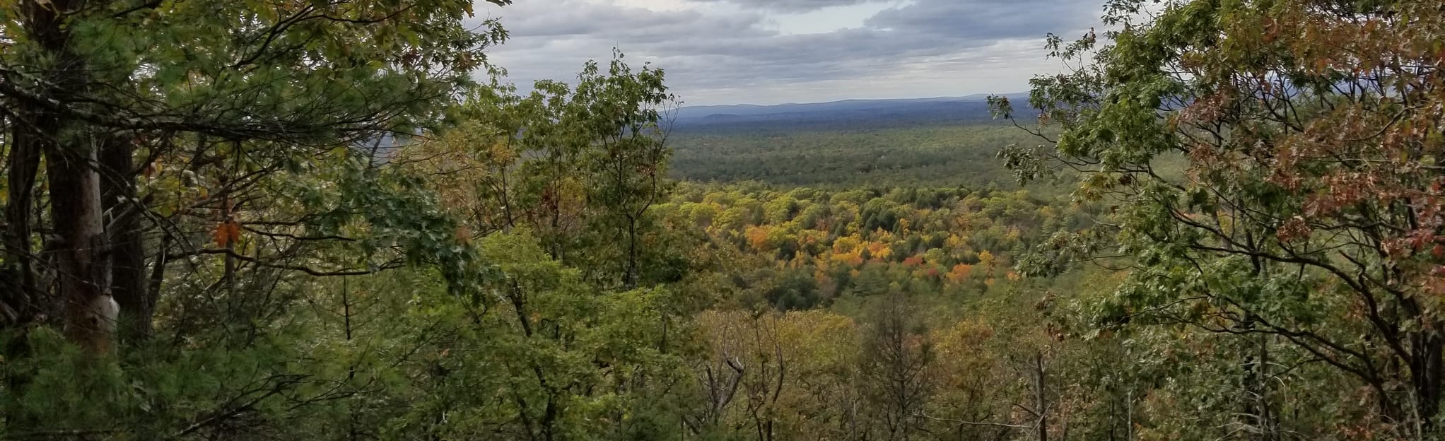 Ring Trail Loop, Maine - 783 Reviews, Map | AllTrails