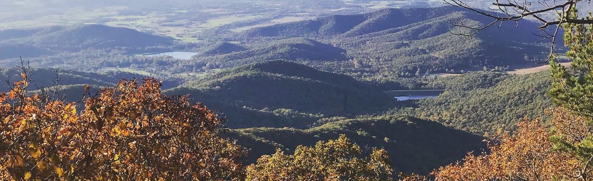 Nicholson Hollow to Corbin Cabin: 240 Reviews, Map - Virginia | AllTrails