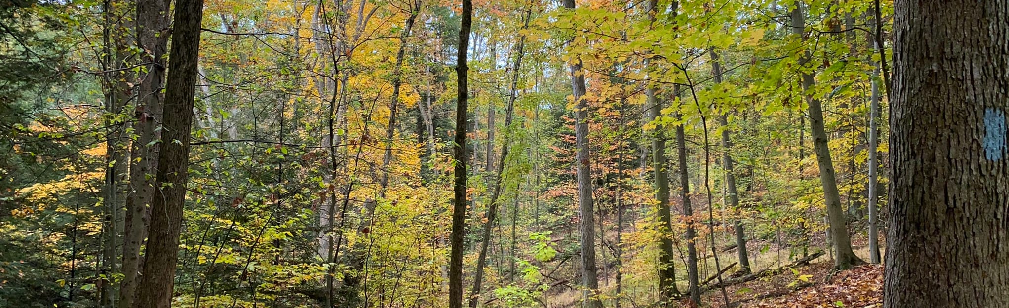 AllTrails | Eddie's Wildlife Pass and Bridle Trail Loop: 237 Reviews ...