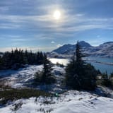 Lost Lake via Primrose Trail, Alaska - 200 Reviews, Map | AllTrails