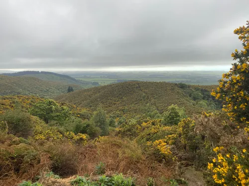 Best Hikes and Trails in Hook Bush Conservation Area | AllTrails