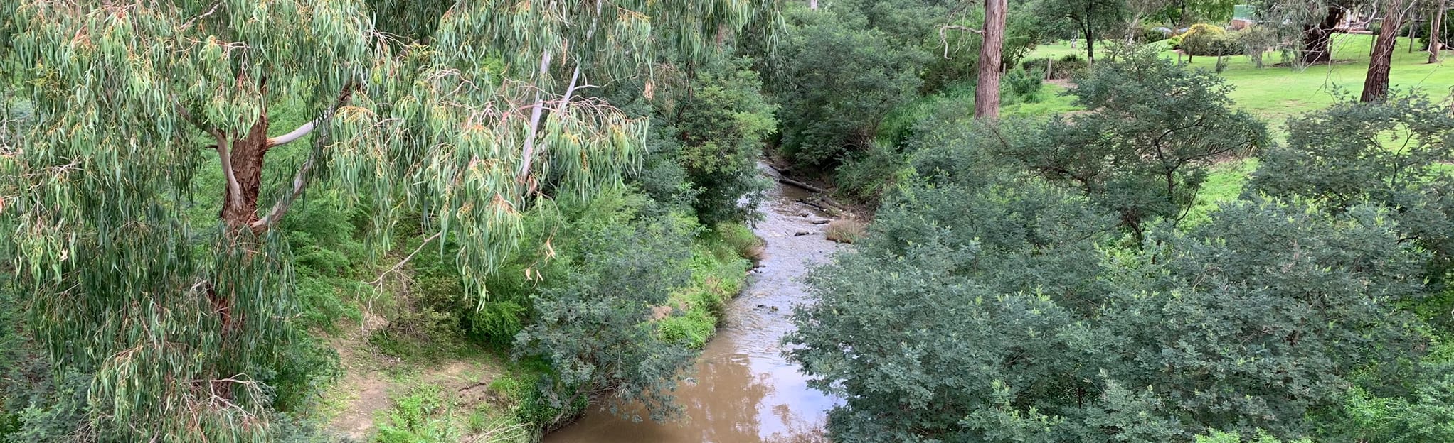 Plenty River Trail: Montmorency Park to Banyule Wetlands: 54 Reviews ...