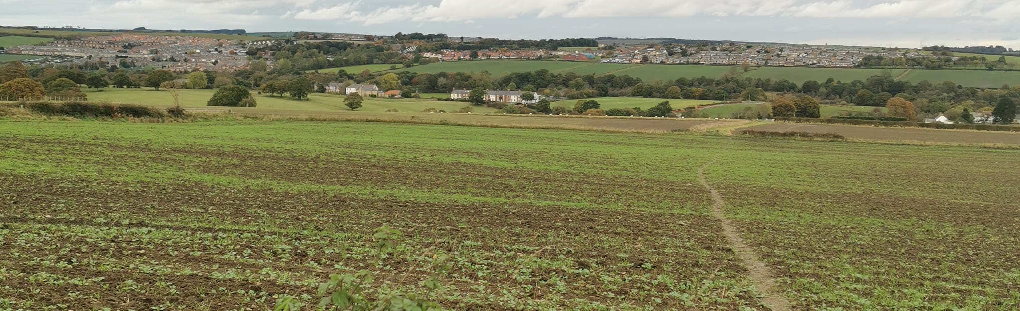 Brandon Village to Deerness Valley Railway Path Circular - County ...