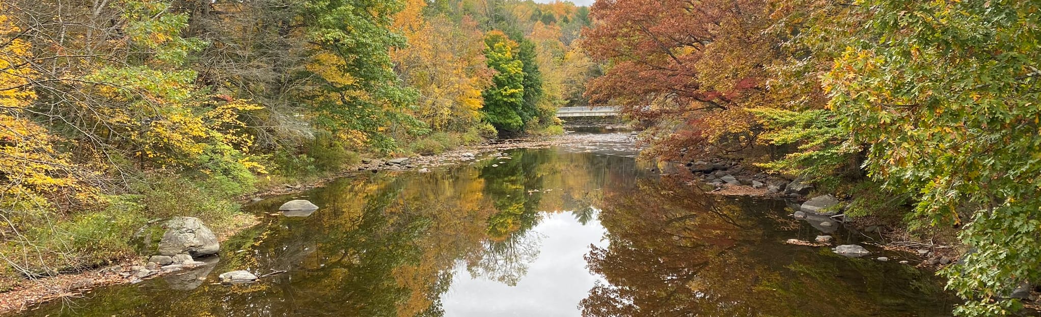 Bee Brook Loop, Connecticut - 903 Reviews, Map | AllTrails