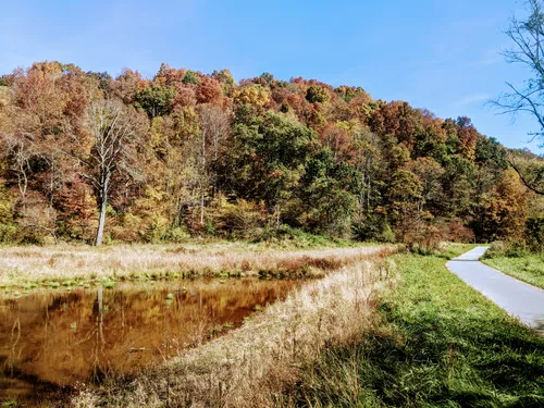 10 Best Trails and Hikes in Boone | AllTrails