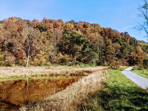 2023 Best 10 Trails and Hikes in Boone | AllTrails