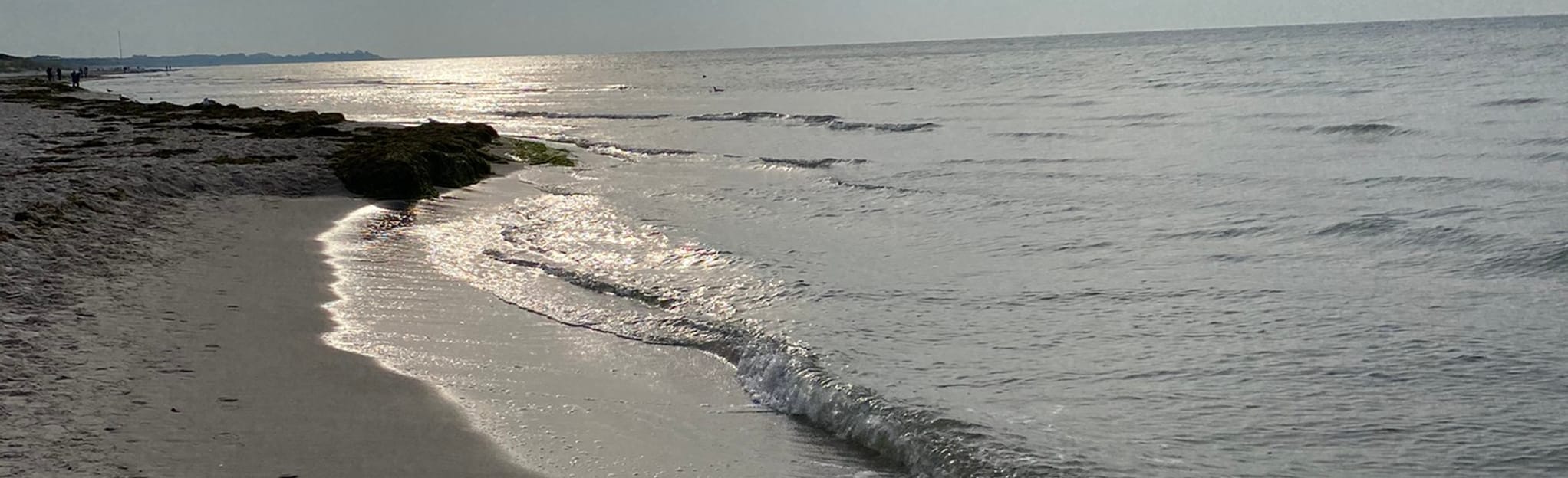 Wald und Strand: 25 foto's - Mecklenburg-Voor-Pommeren, Duitsland ...