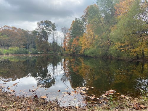 Best Hikes and Trails in East Fallowfield Township Park | AllTrails