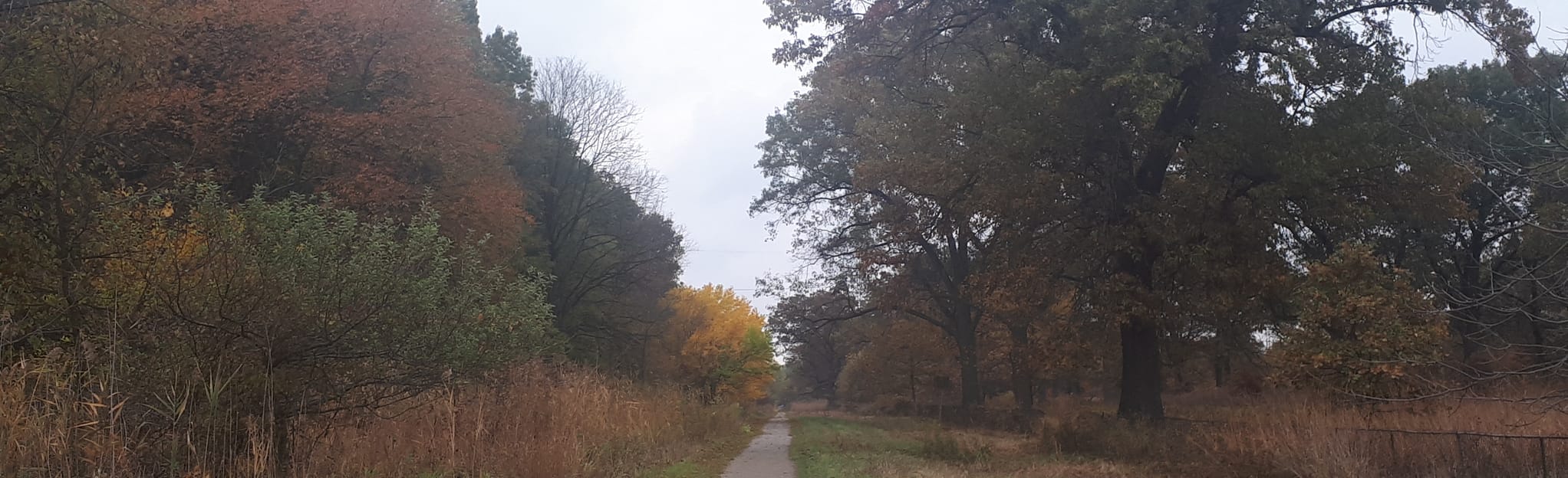 Ojibway and Tall Grass Prairie Loop: 48 Reviews, Map - Ontario, Canada ...