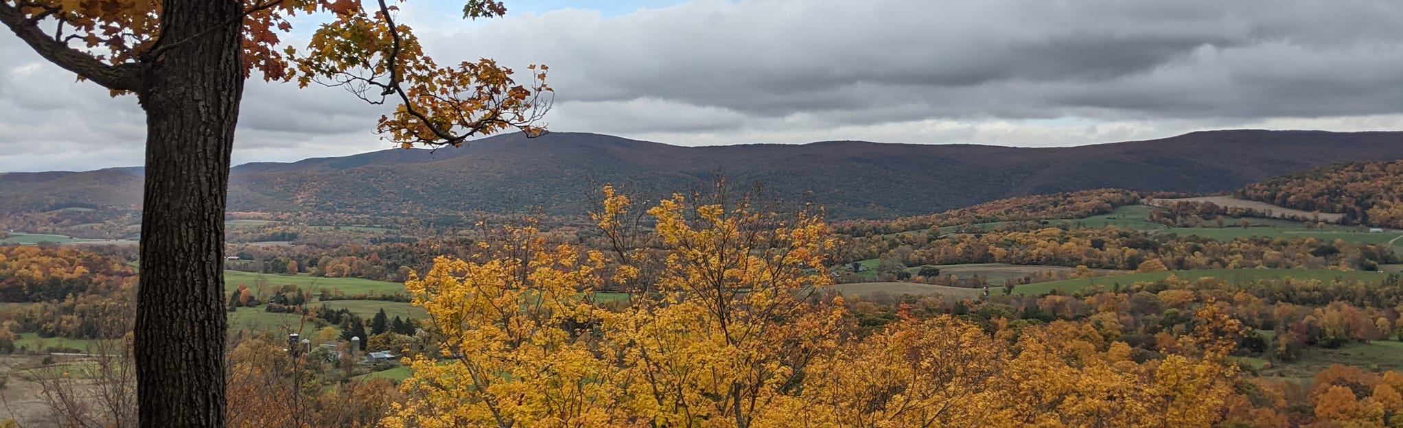 Swamp Trail and Old Croken Summit Trail, New York - 49 Reviews, Map ...