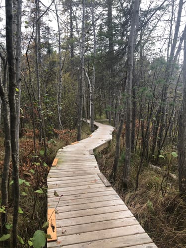 Best Hikes and Trails in Chocolay Bayou Nature Preserve | AllTrails