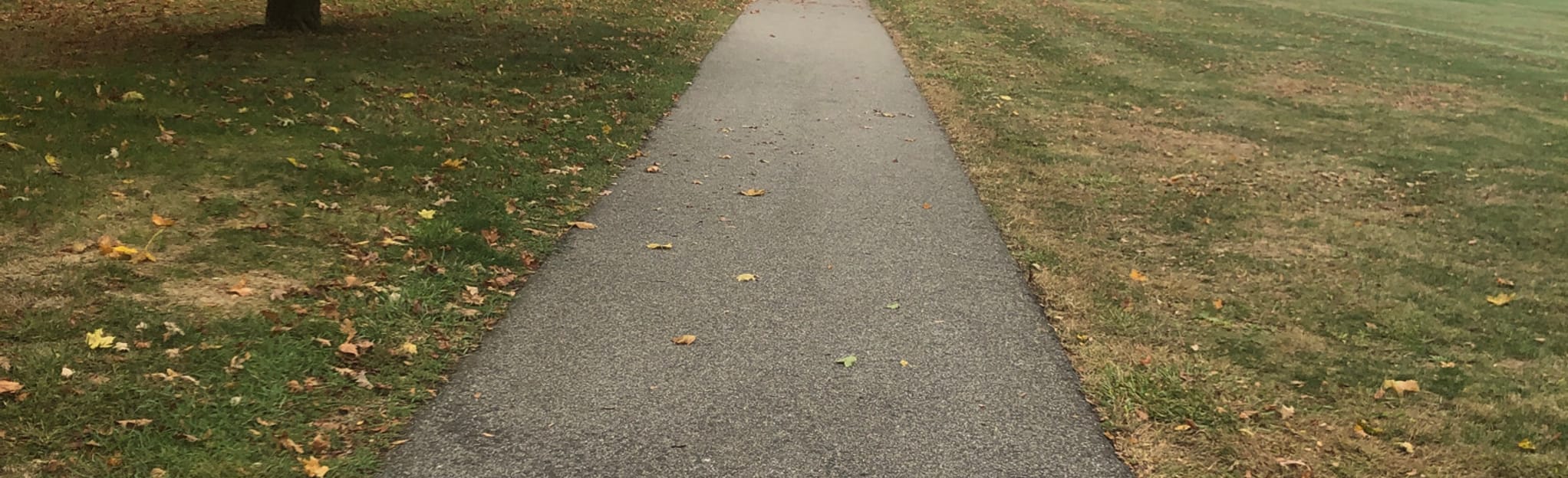 AllTrails | Long Lane Path: 33 Reviews, Map - Connecticut