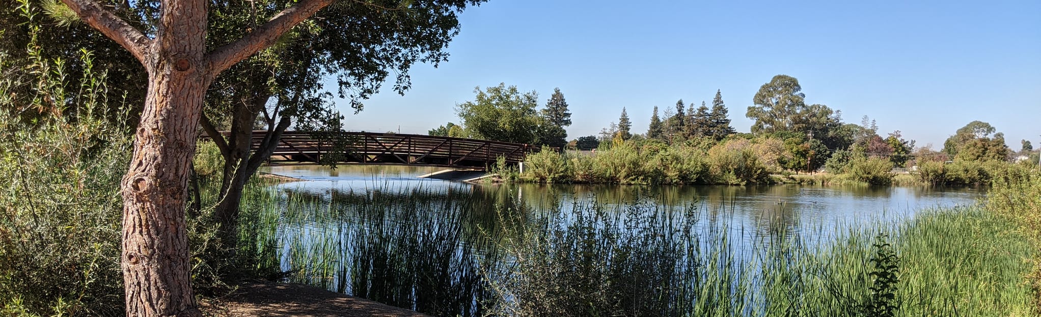 Bay Area Ridge Trail: Penitencia Creek, California - 98 Reviews, Map ...