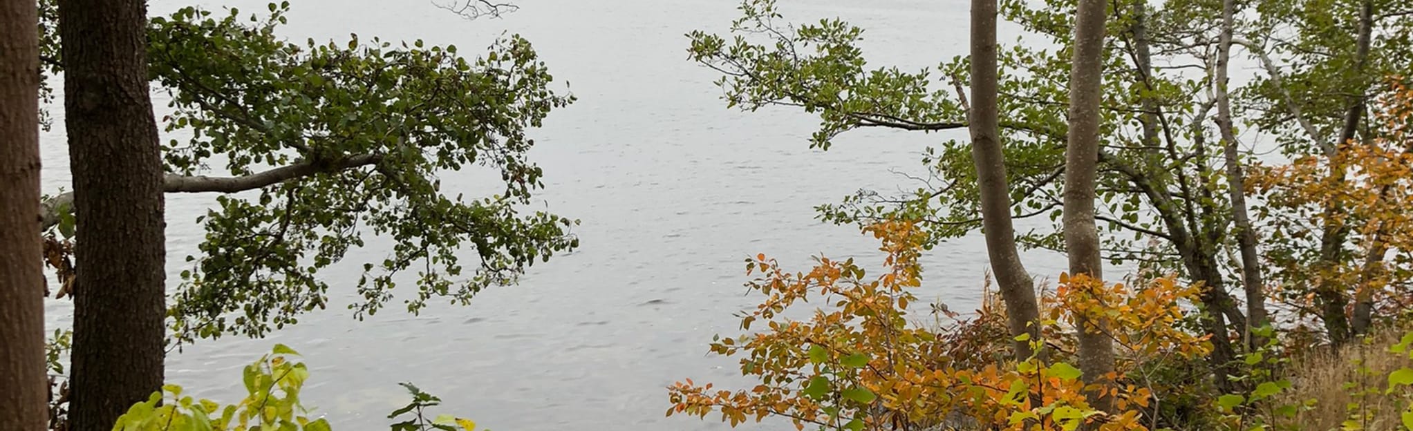 Ropsten – Högberga: 14 Reviews, Map - Stockholm, Sweden | AllTrails