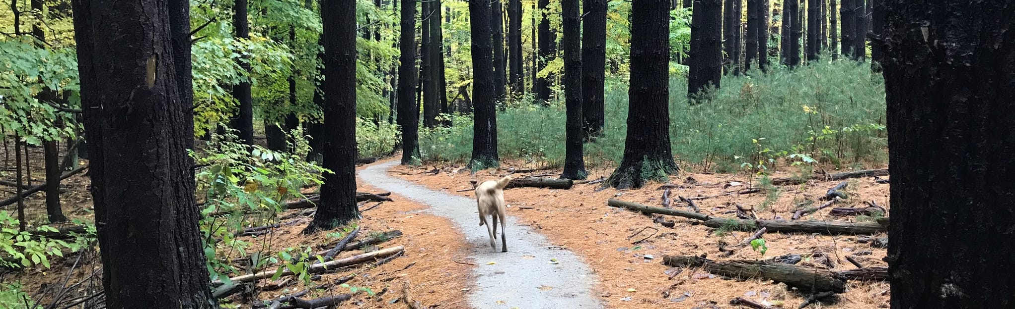 Red MTB Trail: 427 Reviews, Map - Ohio | AllTrails