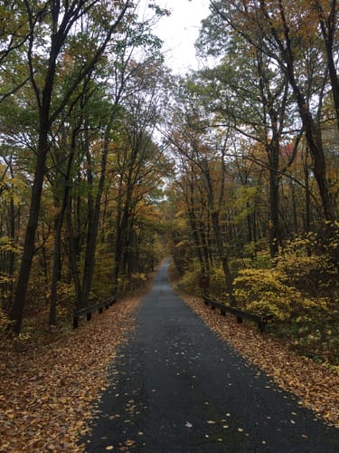 2023 Best 10 Lake Trails in Sandyston Township | AllTrails