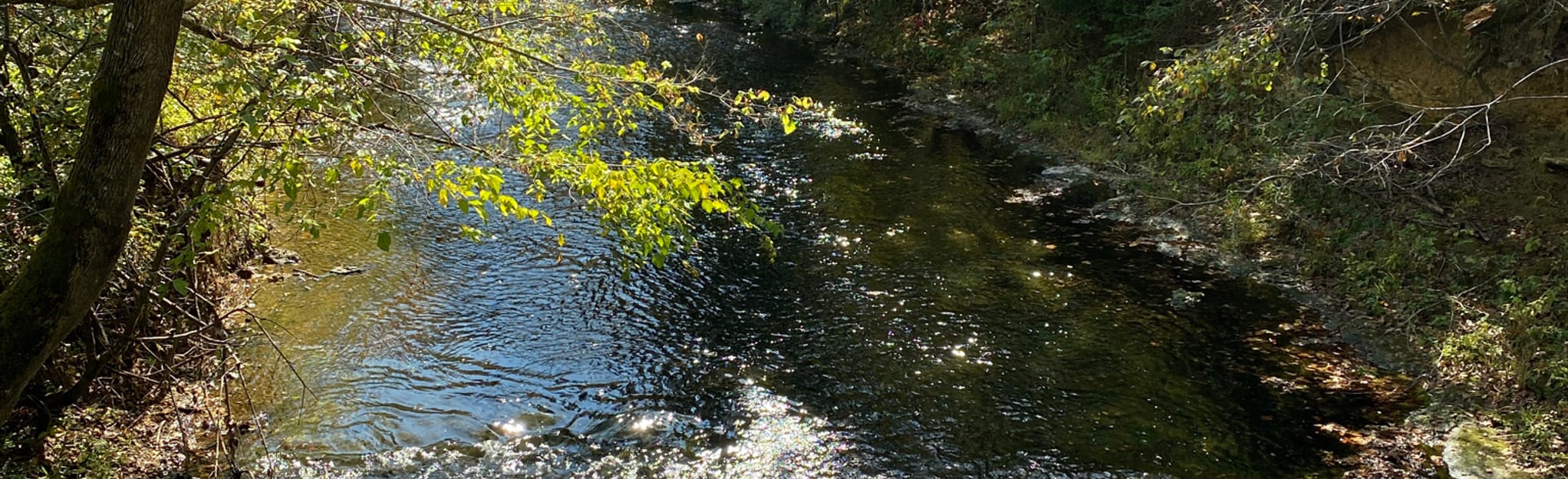 Thunder Chicken MTB Trails, Arkansas - 42 Reviews, Map | AllTrails