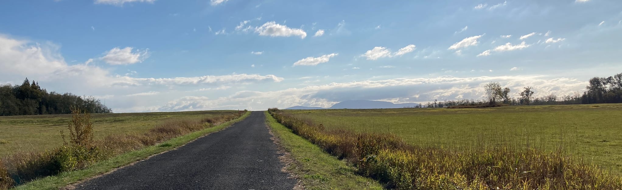 Aldergrove Road and Point Whitehorn Road Paved Path: 41 Reviews, Map ...