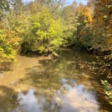 Cache River and Heron Pond State Natural Areas, Illinois - 142 Reviews ...