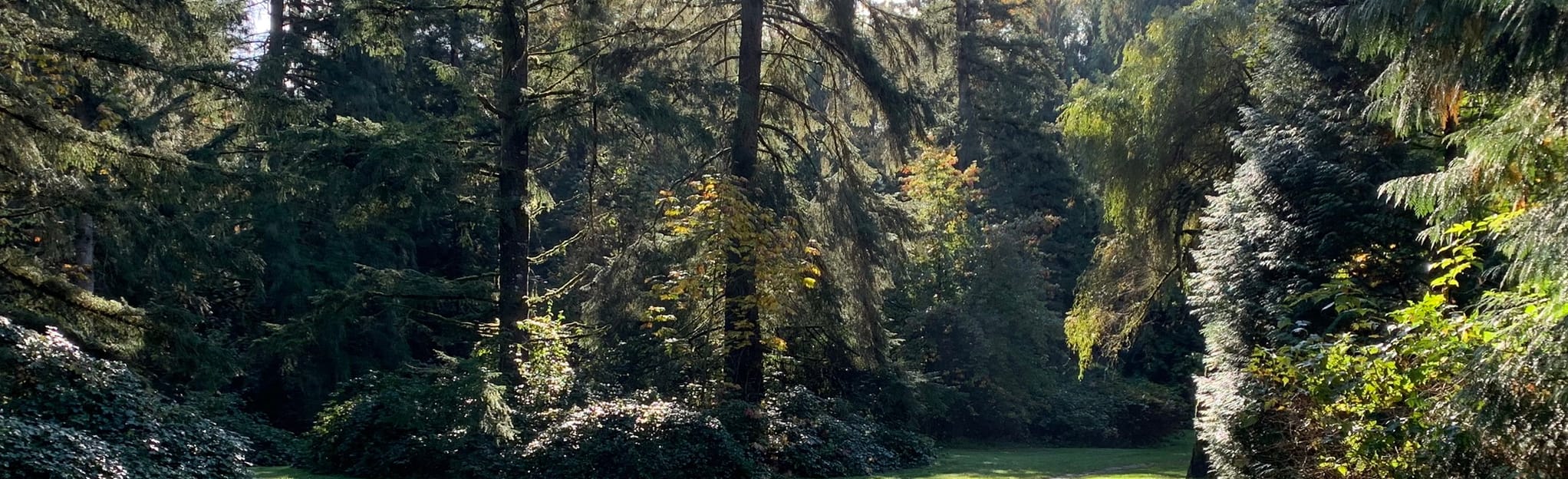 Williams Park Loop, British Columbia, Canada - 134 Reviews, Map | AllTrails