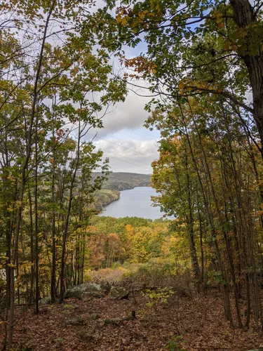 Best Hikes and Trails in Webb Mountain Park | AllTrails