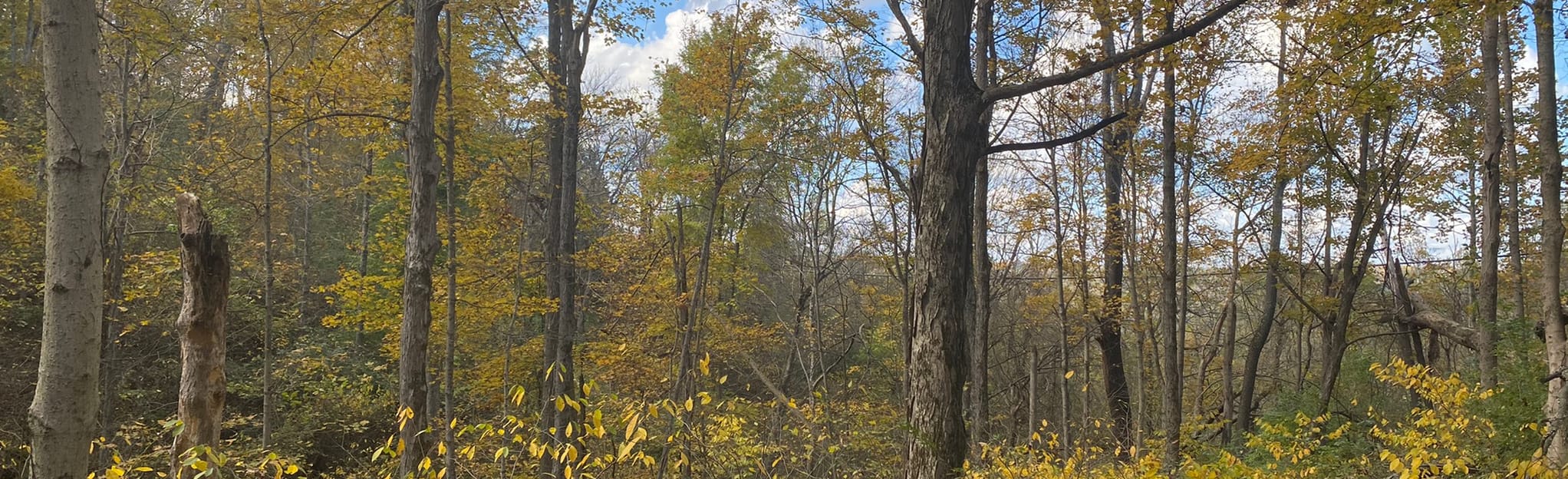 Butler Turpin House and Overlook Fossil Trail Loop: 108 Reviews, Map ...