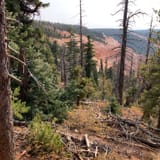 Virgin River Rim Trail, Utah - 132 Reviews, Map | AllTrails