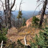 Virgin River Rim Trail, Utah - 132 Reviews, Map | AllTrails