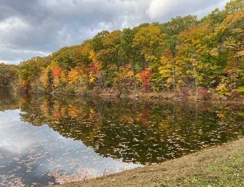 Best Hikes and Trails in Lime Rock Nature Preserve | AllTrails