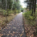 Old Quarry and Stony Swamp Trail Loop, Ontario, Canada - 270 Reviews ...
