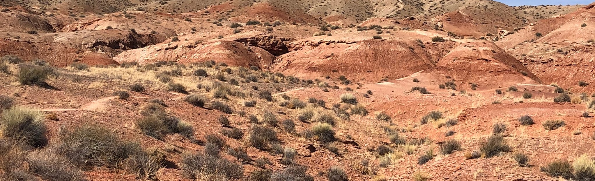 Angel Point Trail, Utah - 14 Reviews, Map | AllTrails
