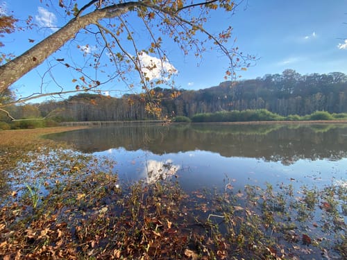 Best Hikes and Trails in Griffy Lake Nature Preserve | AllTrails