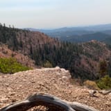 Virgin River Rim Trail, Utah - 132 Reviews, Map | AllTrails