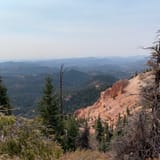 Virgin River Rim Trail, Utah - 132 Reviews, Map | AllTrails