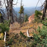 Virgin River Rim Trail, Utah - 132 Reviews, Map | AllTrails
