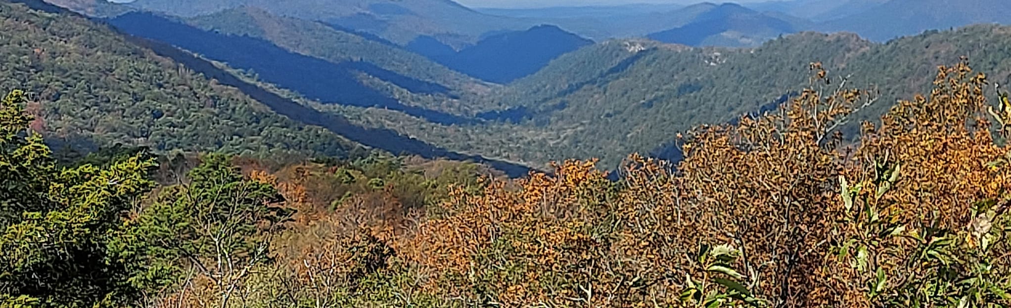 Buckeye Mountain to Caney Creek Trail | Map, Guide - Arkansas | AllTrails