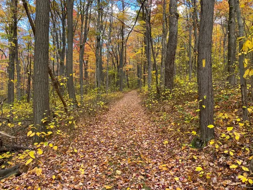 10 Best Hikes and Trails in Roaring Run Natural Area | AllTrails