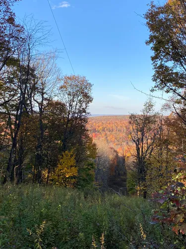 10 Best Hikes and Trails in Roaring Run Natural Area | AllTrails