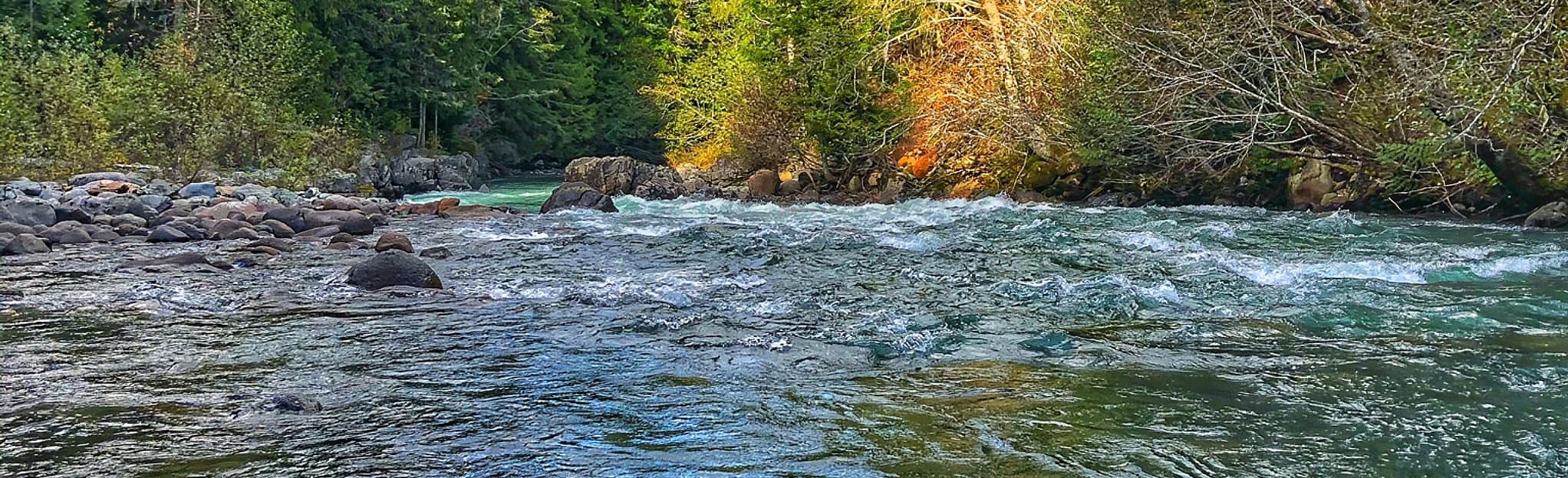 Cheakamus River Suspension Bridge Loop, British Columbia, Canada - 348 ...