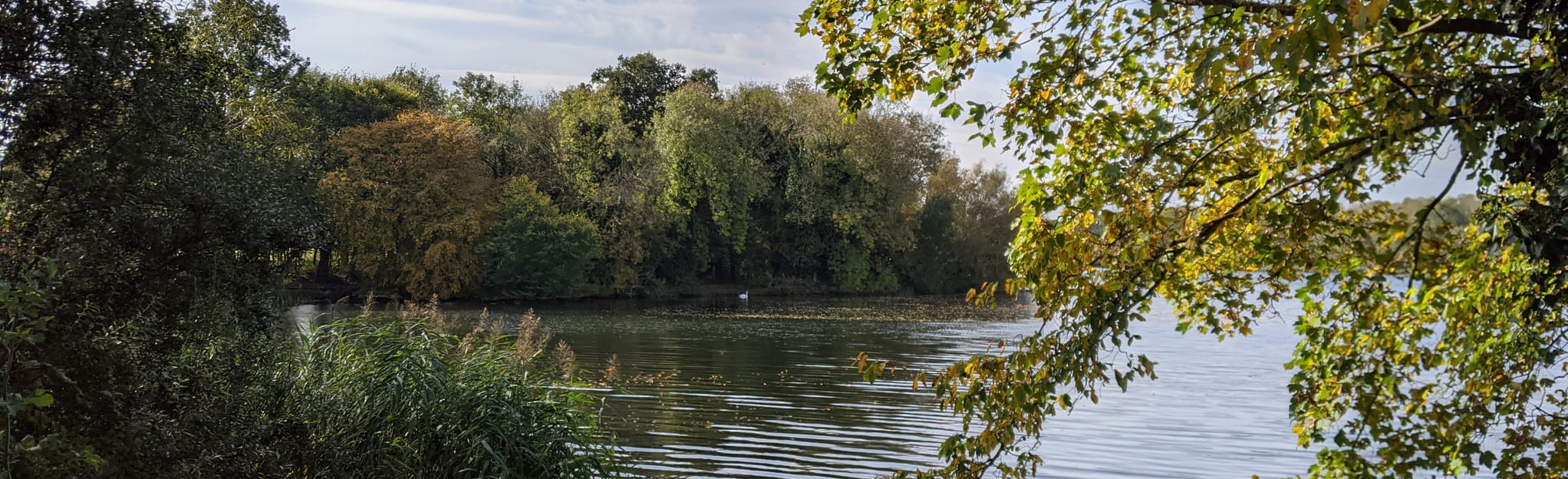 Coate Water and Paddy's Copse Circular, Wiltshire, England - 53 Reviews ...