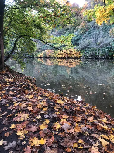 10 Best Trails and Hikes in Cardiff | AllTrails