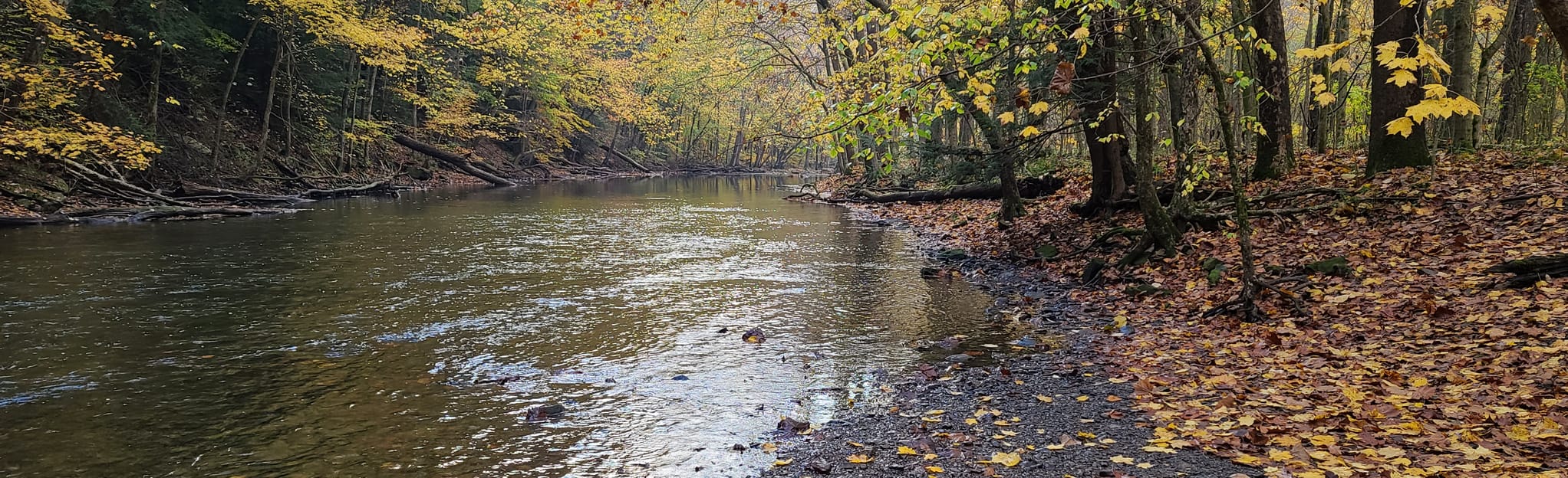 Gorge Overlook Loop, Ohio - 872 Reviews, Map | AllTrails