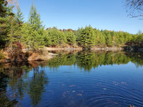 10 Best Trails and Hikes in Boxford | AllTrails