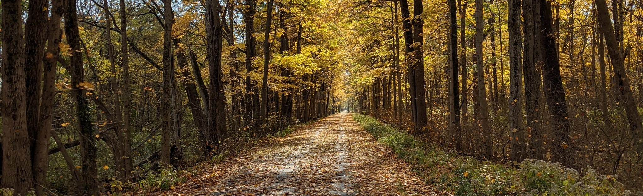 Tadmor Trail, Ohio - 128 Reviews, Map | AllTrails